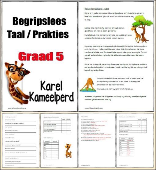 Graad 5 – Begripslees, Taal en Prakties, Meervoud, Waar – Onwaar Met ...