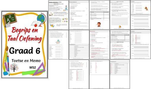 Graad 6 Begrips en Taal Oefening Eksamen met Memo WS2 | Afrikaans Is Maklik